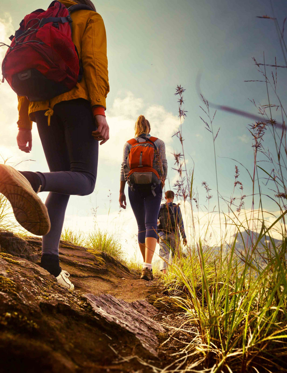 P1 » Petra Opitz » P1 People – Unser Office-Team