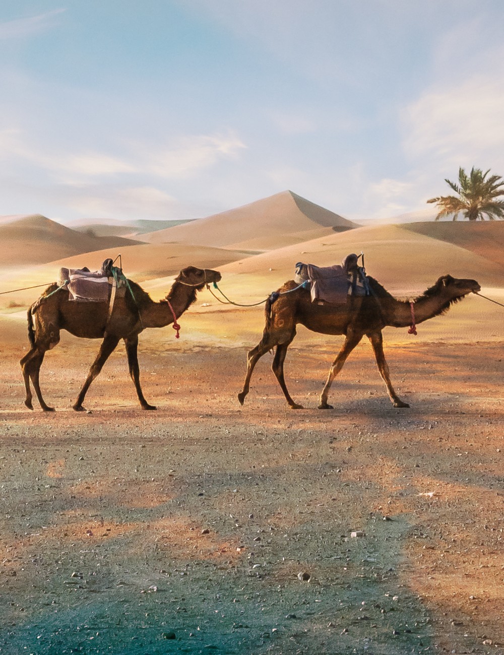 P1 » Petra Opitz » P1 People – Unser Office-Team